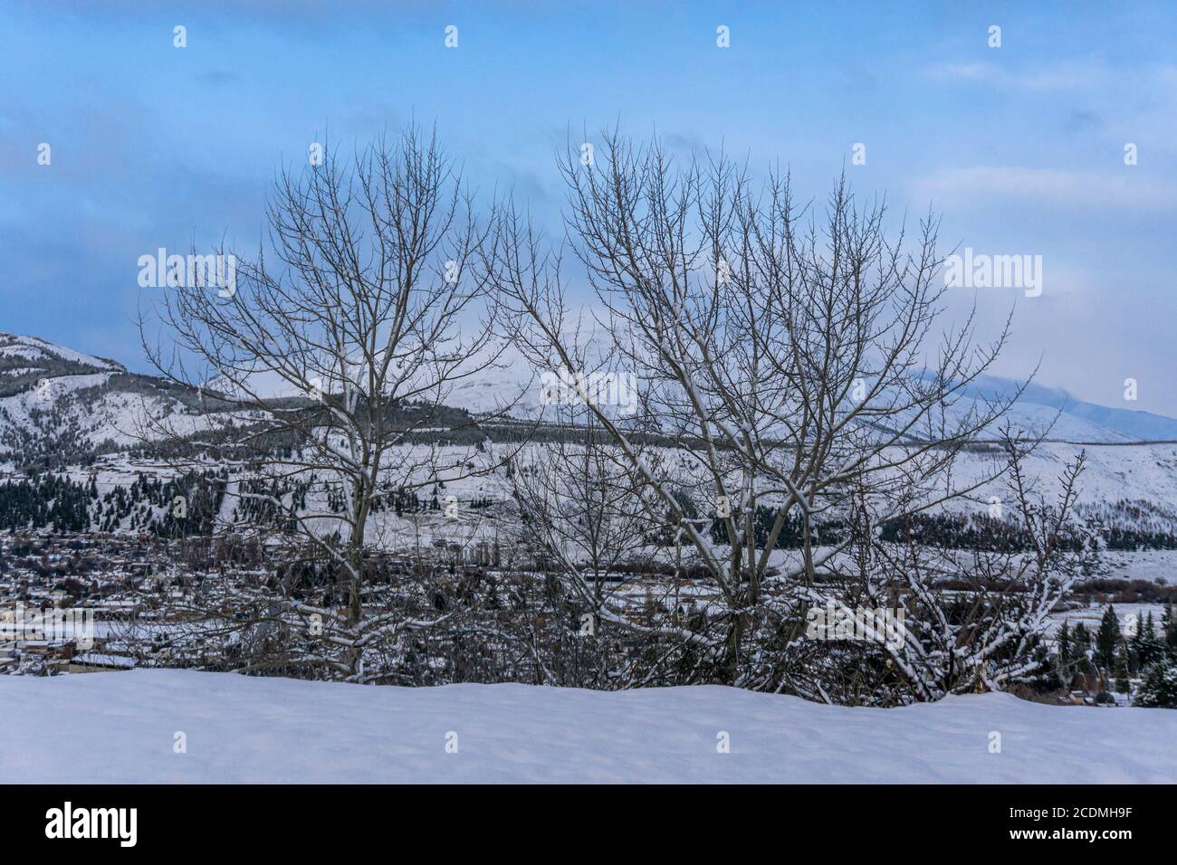 Winter landscape with snow covered trees after snowstorm in Esquel ...