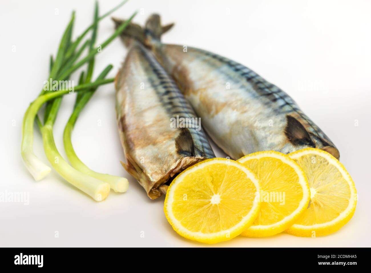Mackerel Fish (Scomber scrombrus) over white background Stock Photo - Alamy