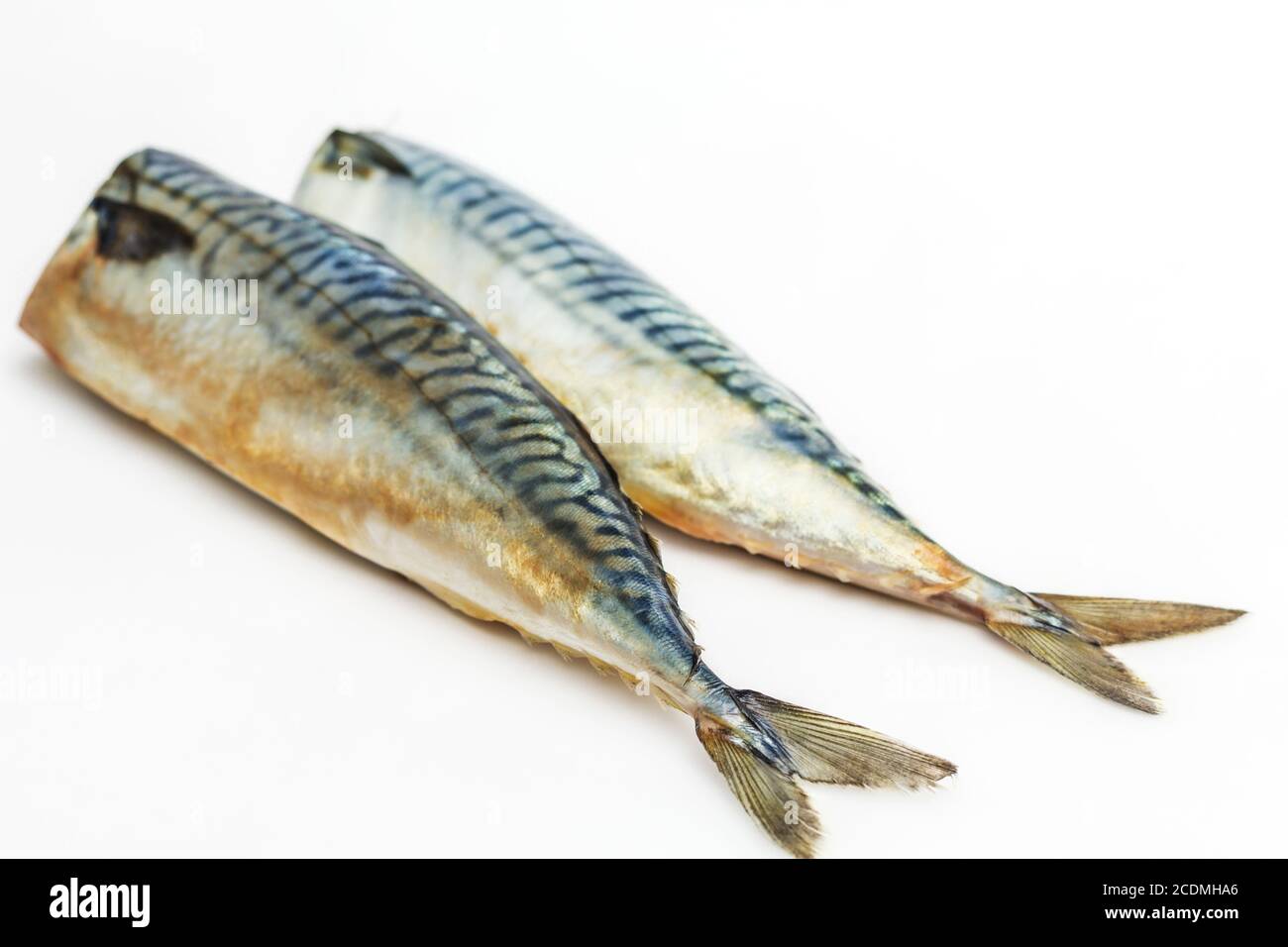 Mackerel Fish (Scomber scrombrus) over white background Stock Photo - Alamy