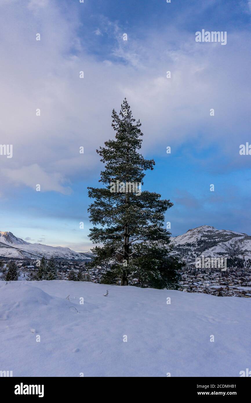 Frosty Scenery Landscape High Resolution Stock Photography and Images ...