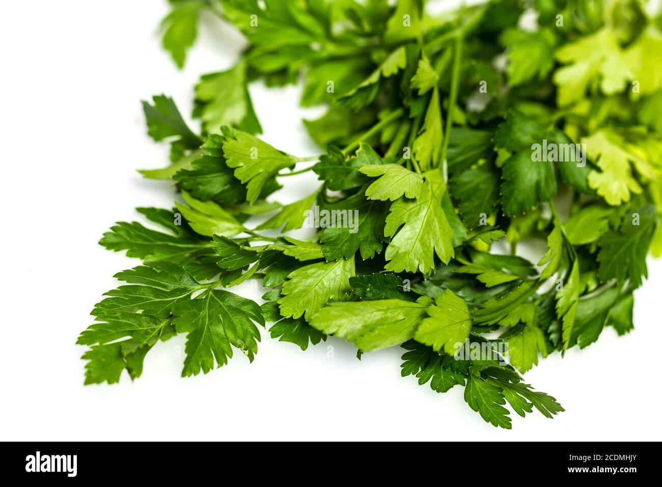 Green tops of parsley on white background Stock Photo - Alamy