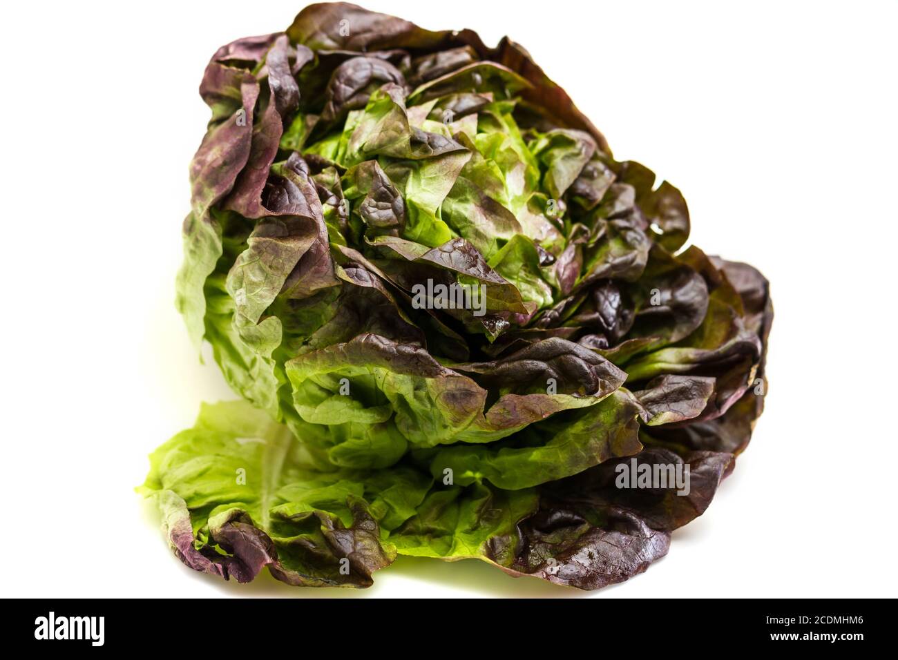 Light green lettuce hi-res stock photography and images - Alamy