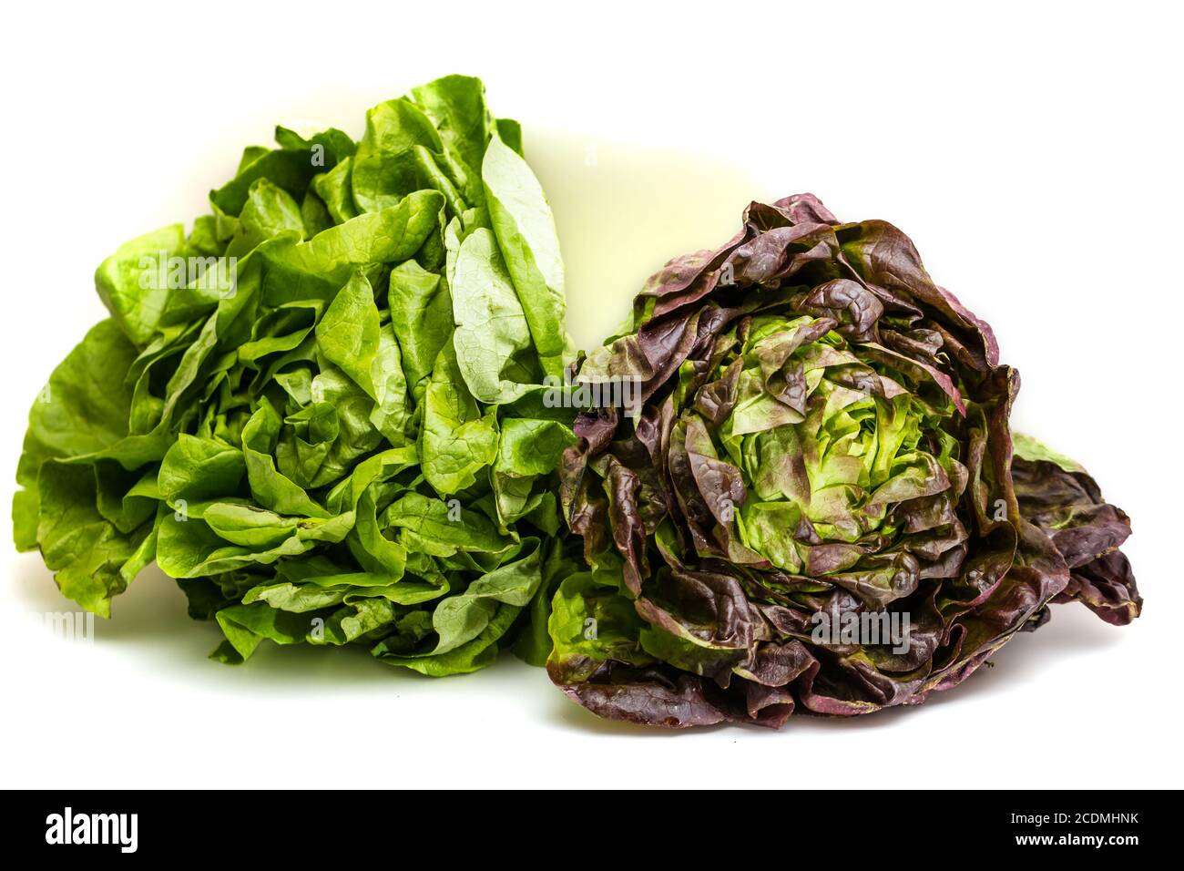 Bunch of fresh green lettuce hi-res stock photography and images - Alamy