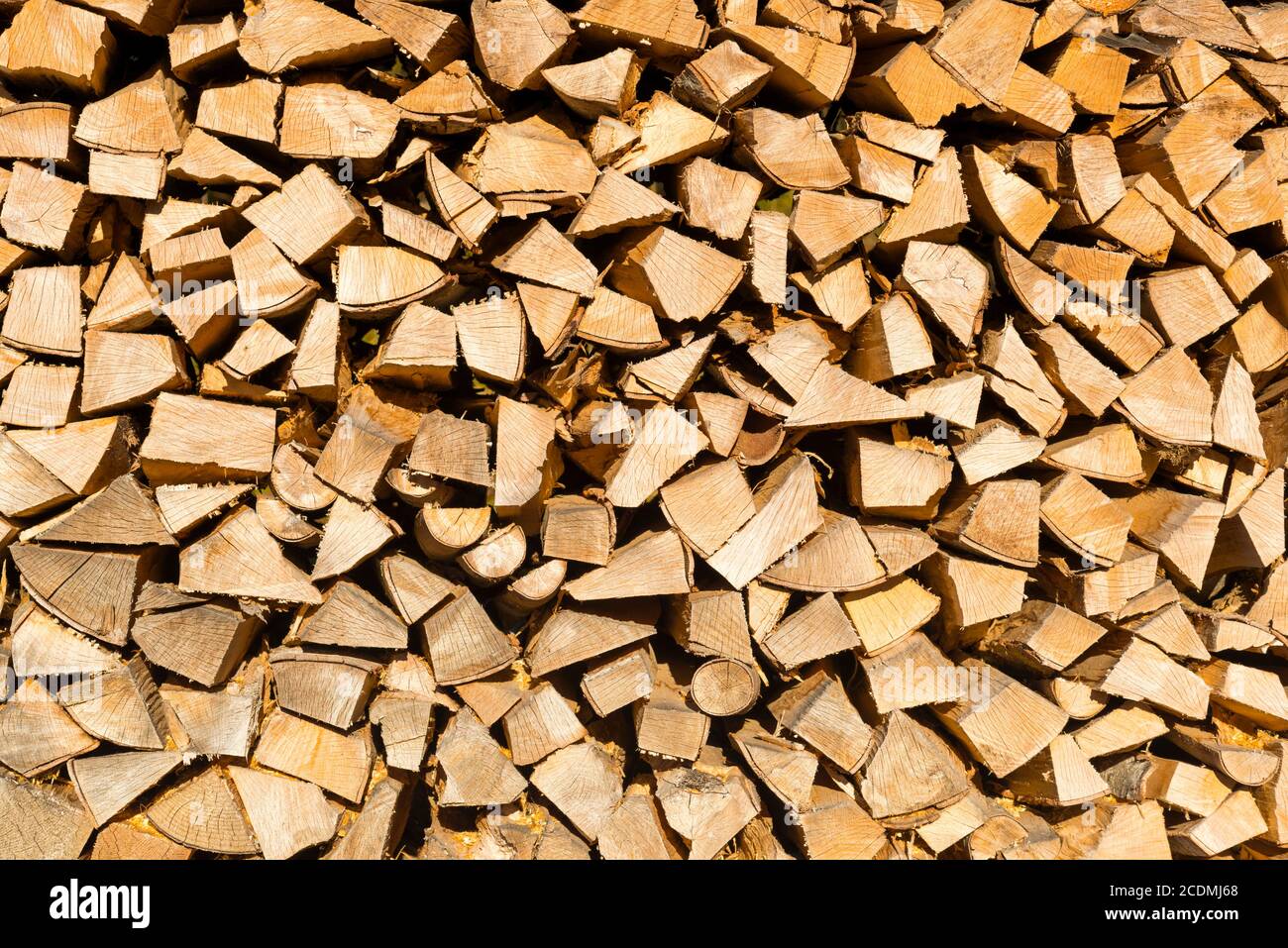Firewood, beech wood (Fagus sylvatica), Allgaeu, Bavaria, Germany Stock ...