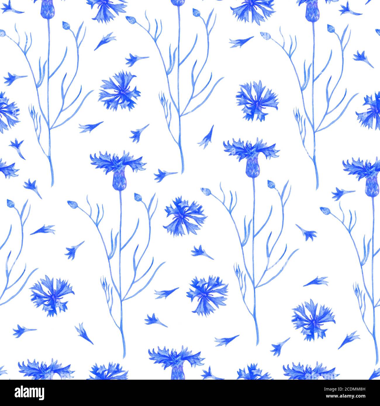 Blue cornflower flowers and petals seamless pattern. Watercolor ...