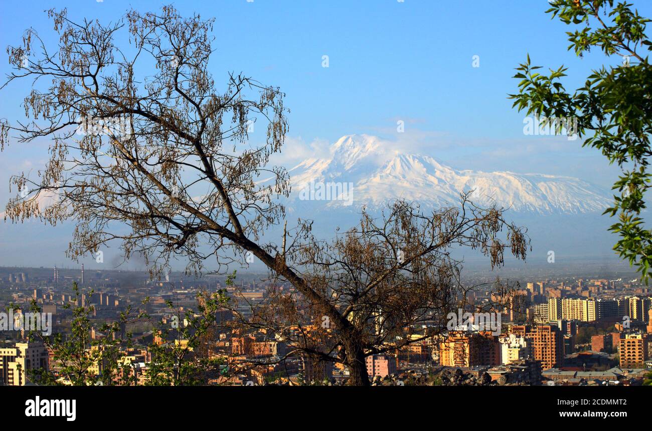 Yerevan city and Mount Ararat Stock Photo - Alamy