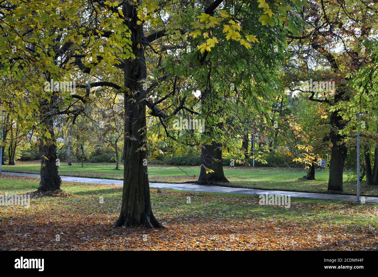 Park at the Römerwall in Mainz Stock Photo - Alamy
