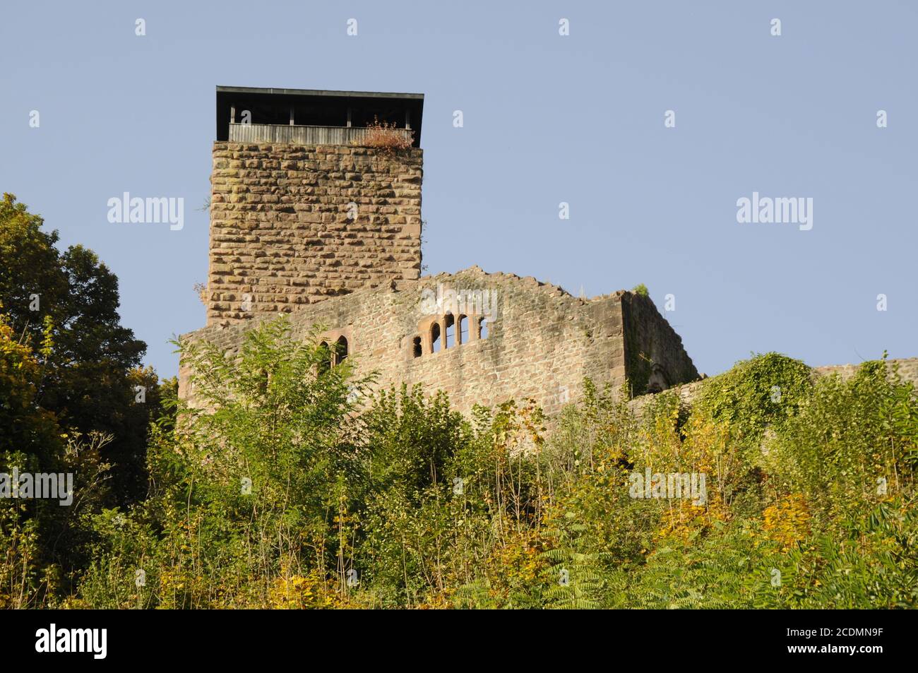 Hinterburg in Neckarsteinach Stock Photo - Alamy