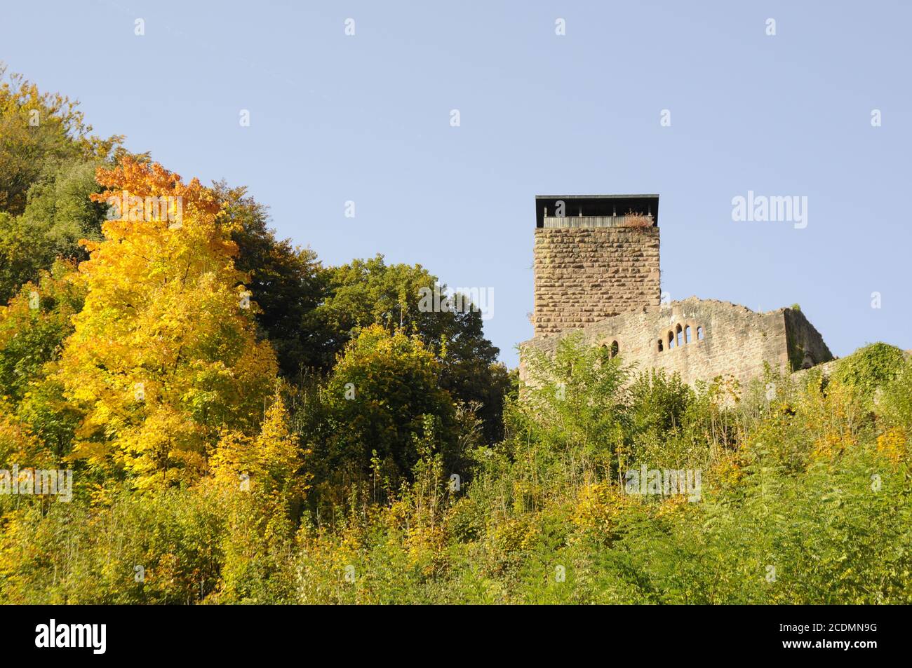 Hinterburg in Neckarsteinach Stock Photo - Alamy