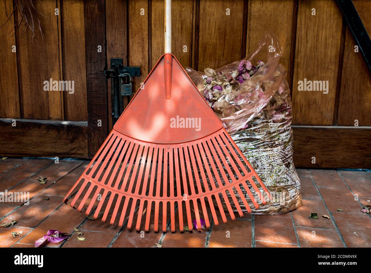 Plastic bag full of dry leaves and dry flowers collected with and ...