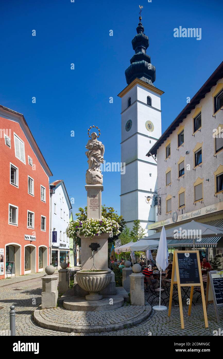Market place with the parish church of St. Martin and Mariensaeule ...