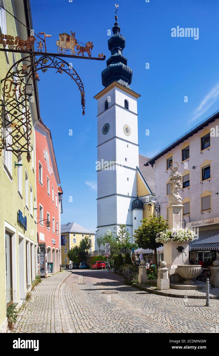 Market place with the parish church of St. Martin and Mariensaeule ...