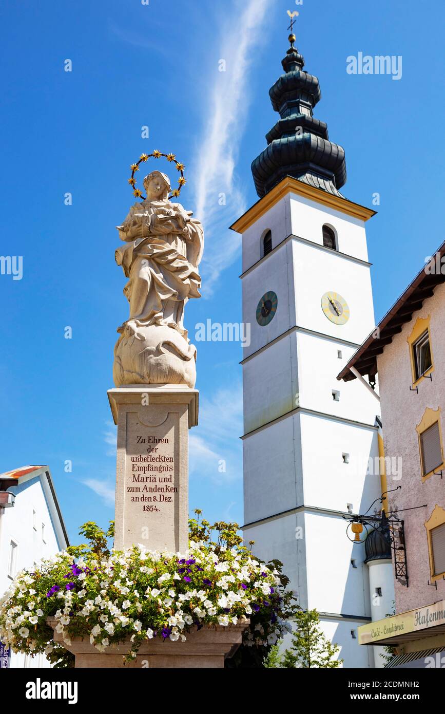 Market place with the parish church of St. Martin and Mariensaeule ...