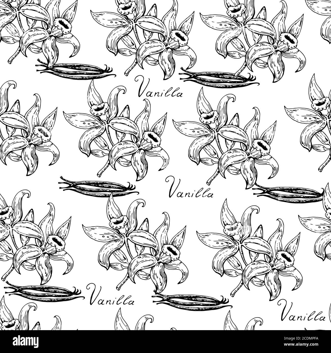 Vanilla seamless Black and White Stock Photos & Images - Alamy