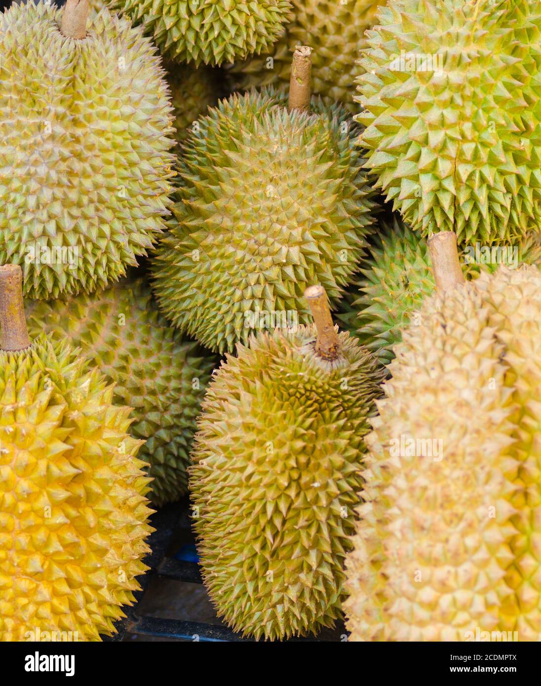 Spicular hi-res stock photography and images - Alamy