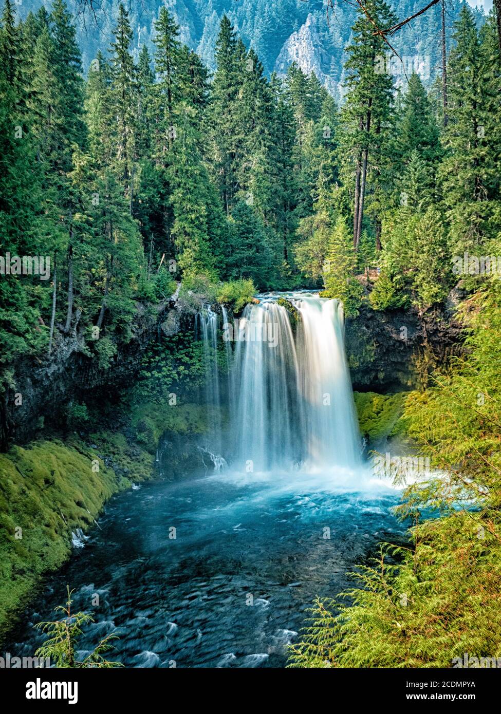 Waterfall in Oregon Stock Photo - Alamy