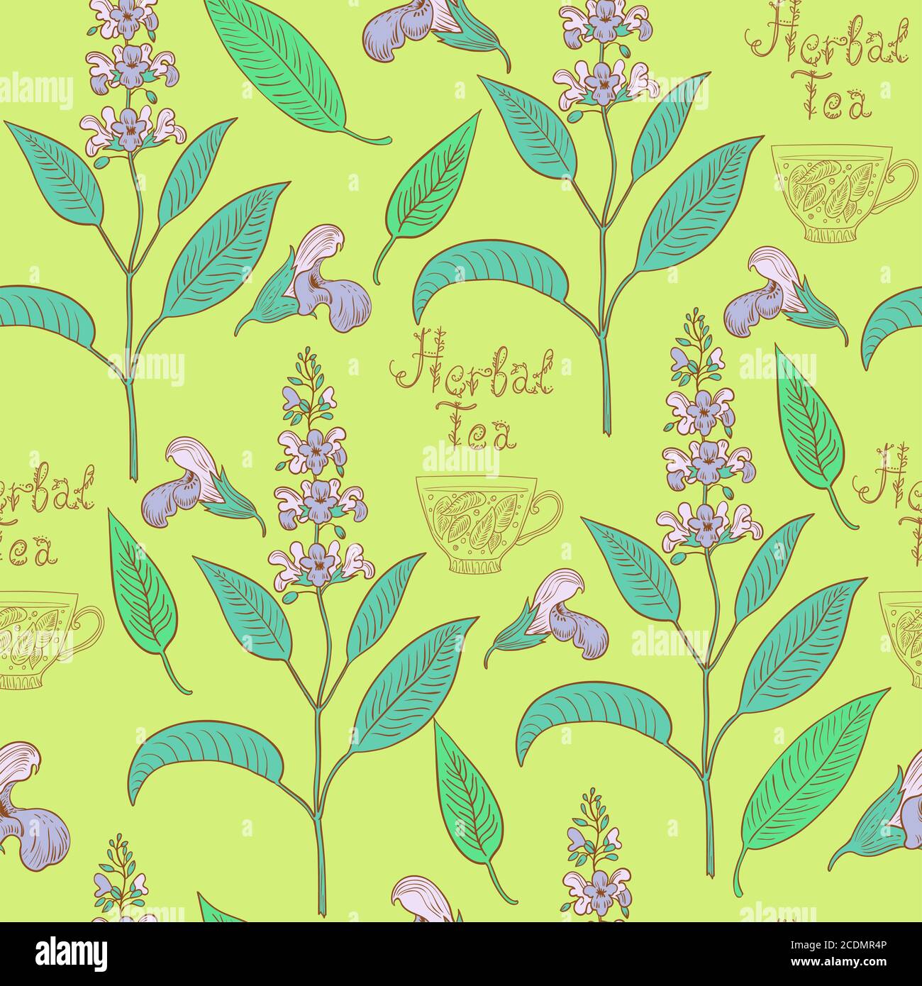 Sage plants Stock Vector Images - Alamy