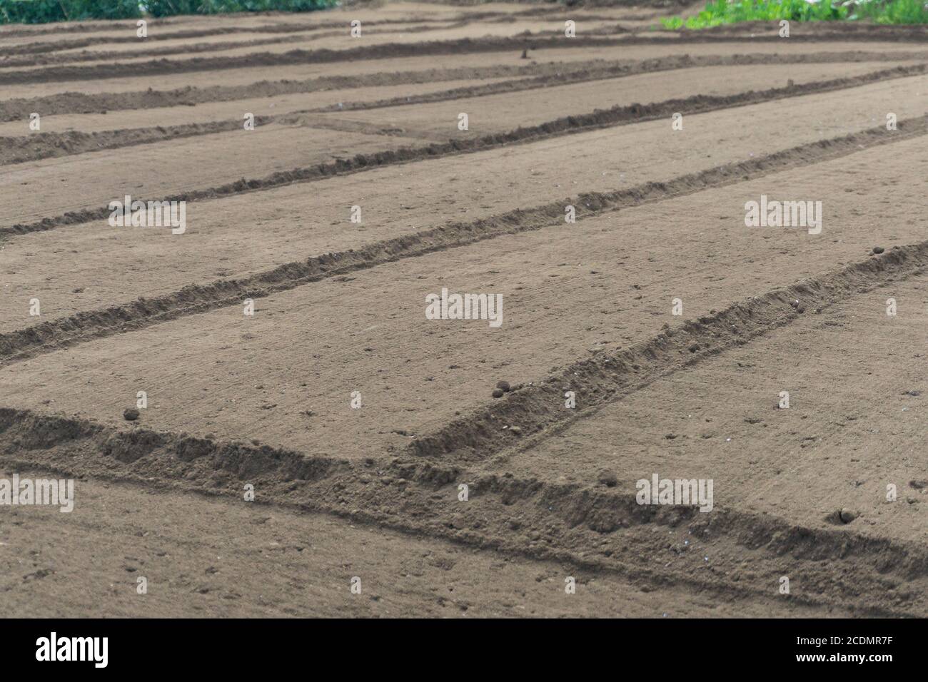 cultivated land for farming Stock Photo - Alamy