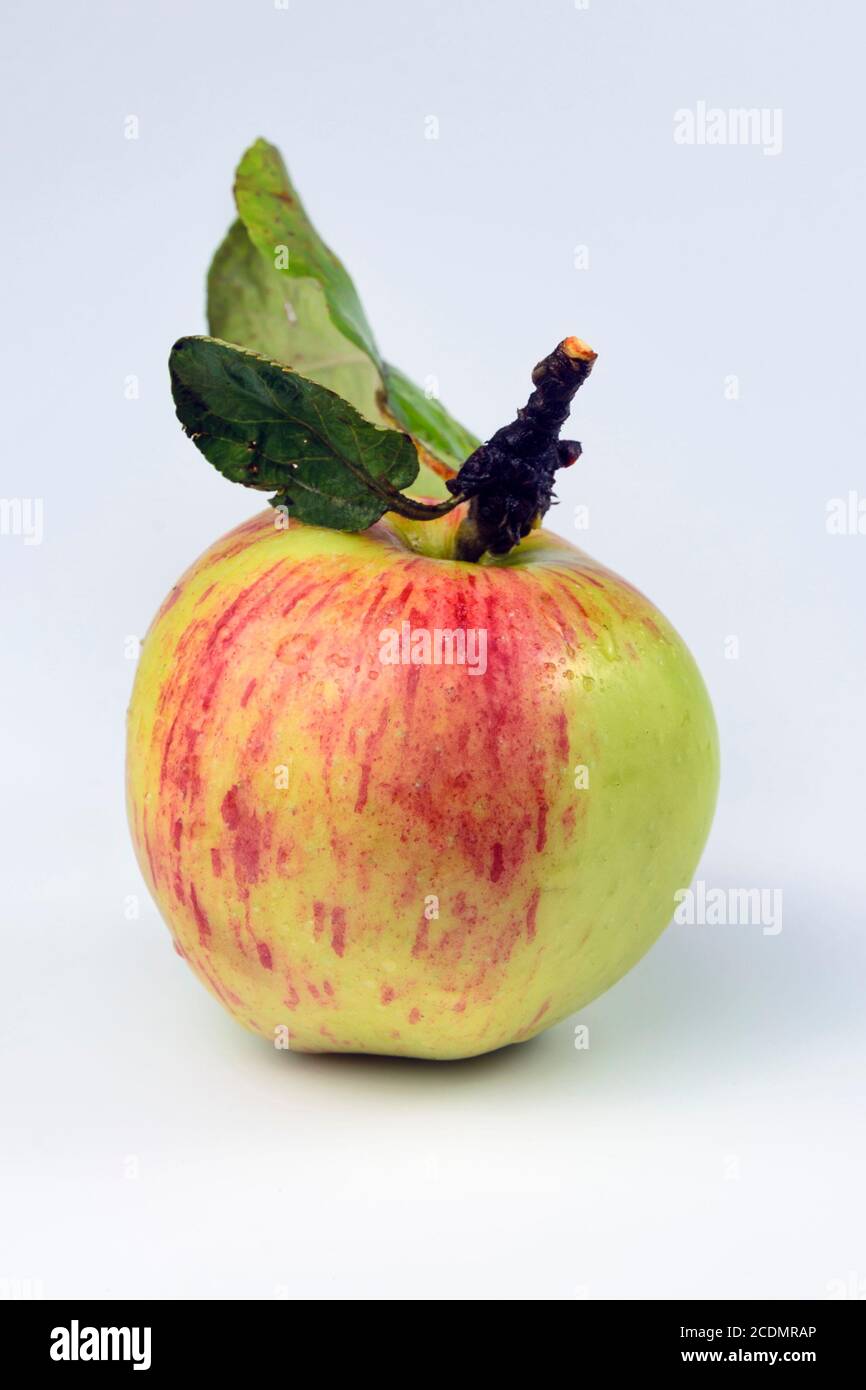 Background delicious hi-res stock photography and images - Alamy