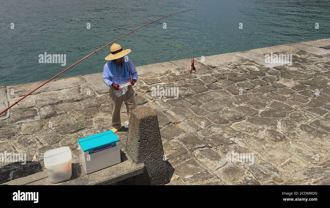 Fisher catching octopus in Japan ocean Stock Photo - Alamy