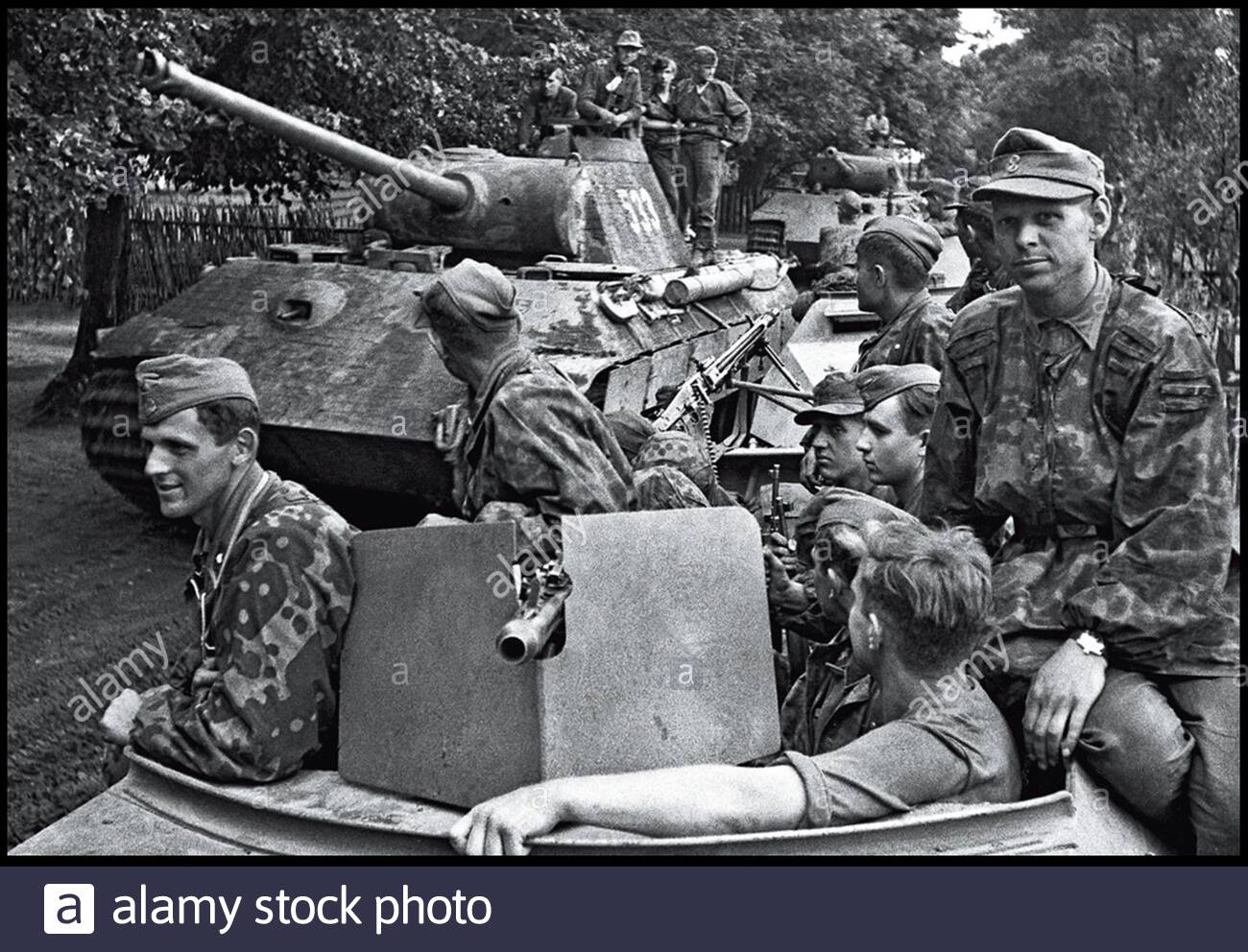 5th Ss Panzer Division High Resolution Stock Photography and Images - Alamy
