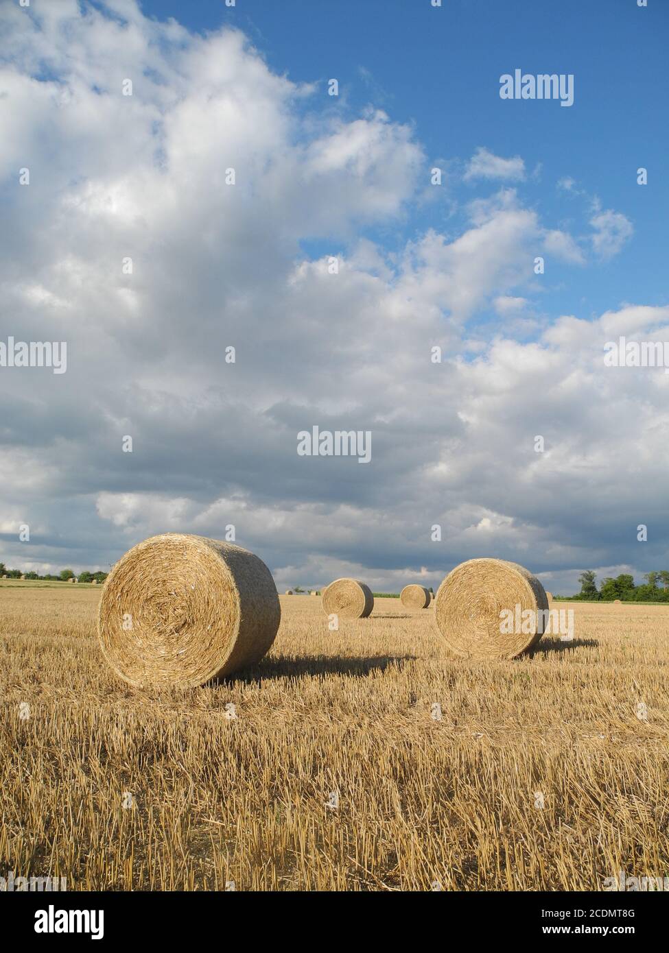 Round bales on a grain field Stock Photo - Alamy