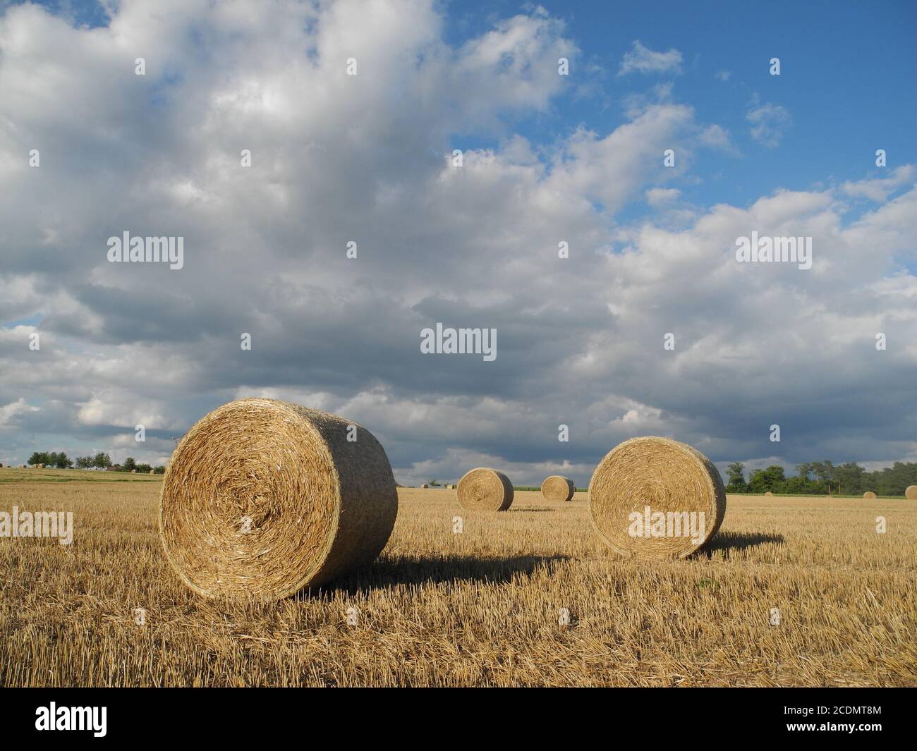 Round bales on a grain field Stock Photo - Alamy