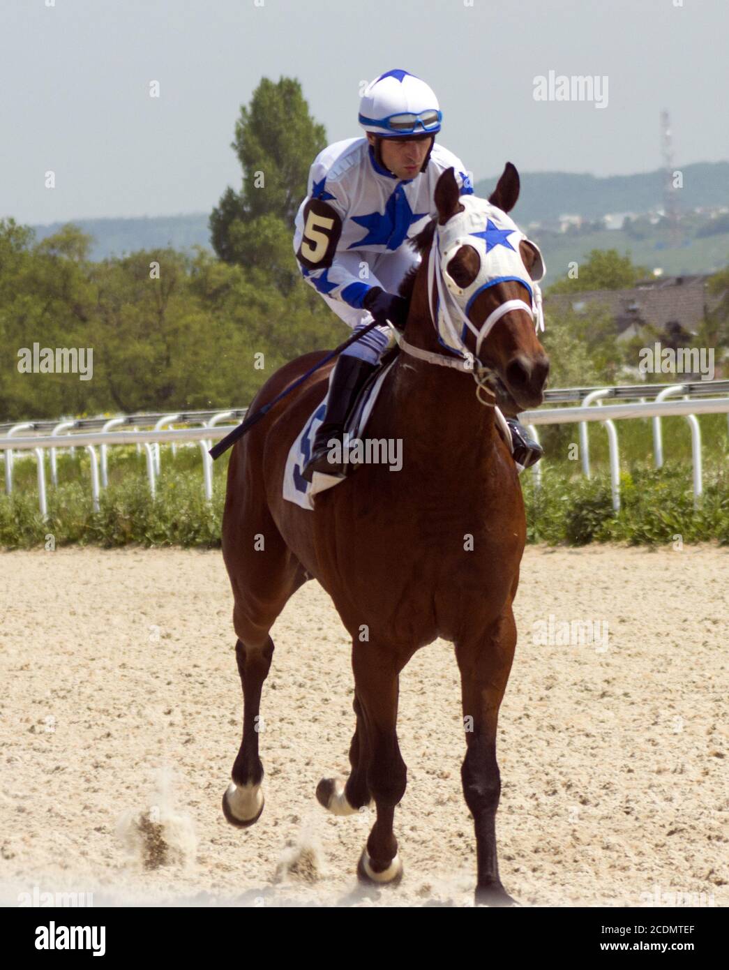 Flat racing horse hi-res stock photography and images - Alamy