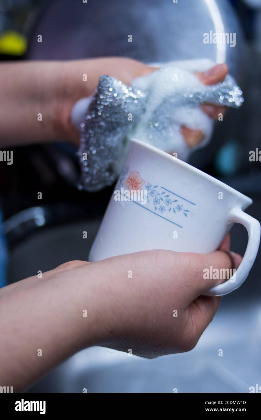 Hands washing a white well with a sponge in a kitchen Stock Photo - Alamy