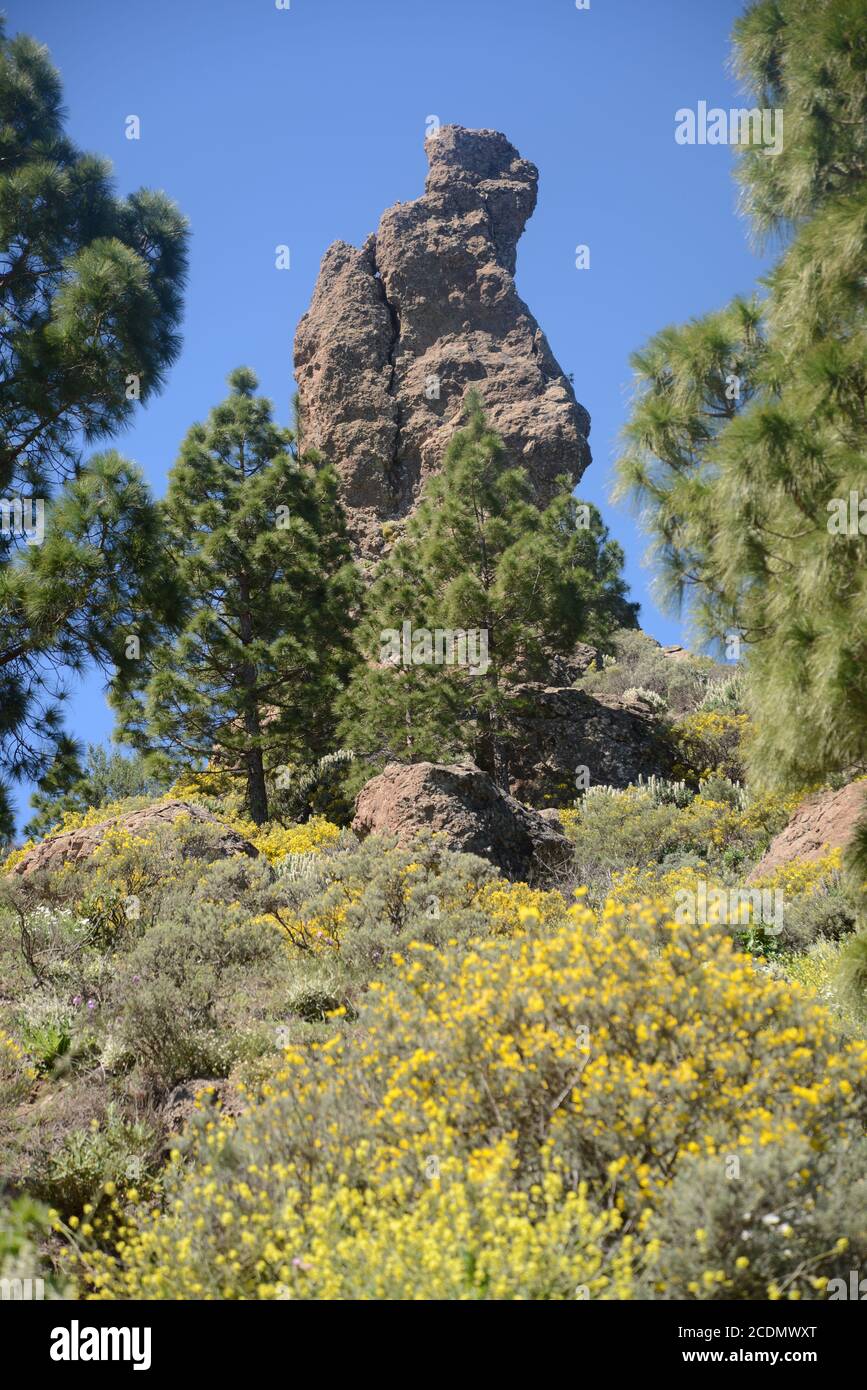 El Fraile, Gran Canaria Stock Photo - Alamy