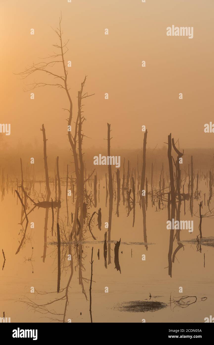 Raised mire hi-res stock photography and images - Alamy