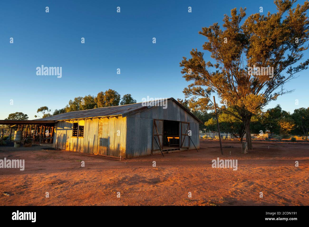 Sheep shearing shed australia hi-res stock photography and images - Alamy