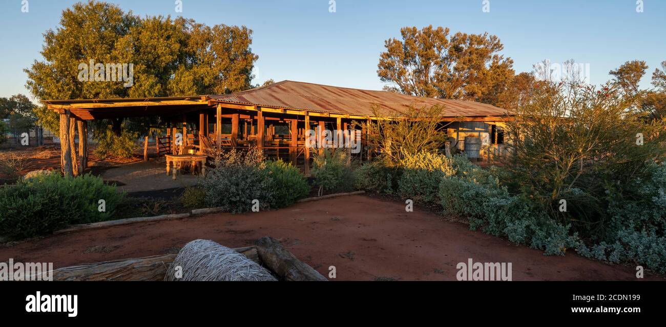 Sheep shearing shed australia hi-res stock photography and images - Alamy