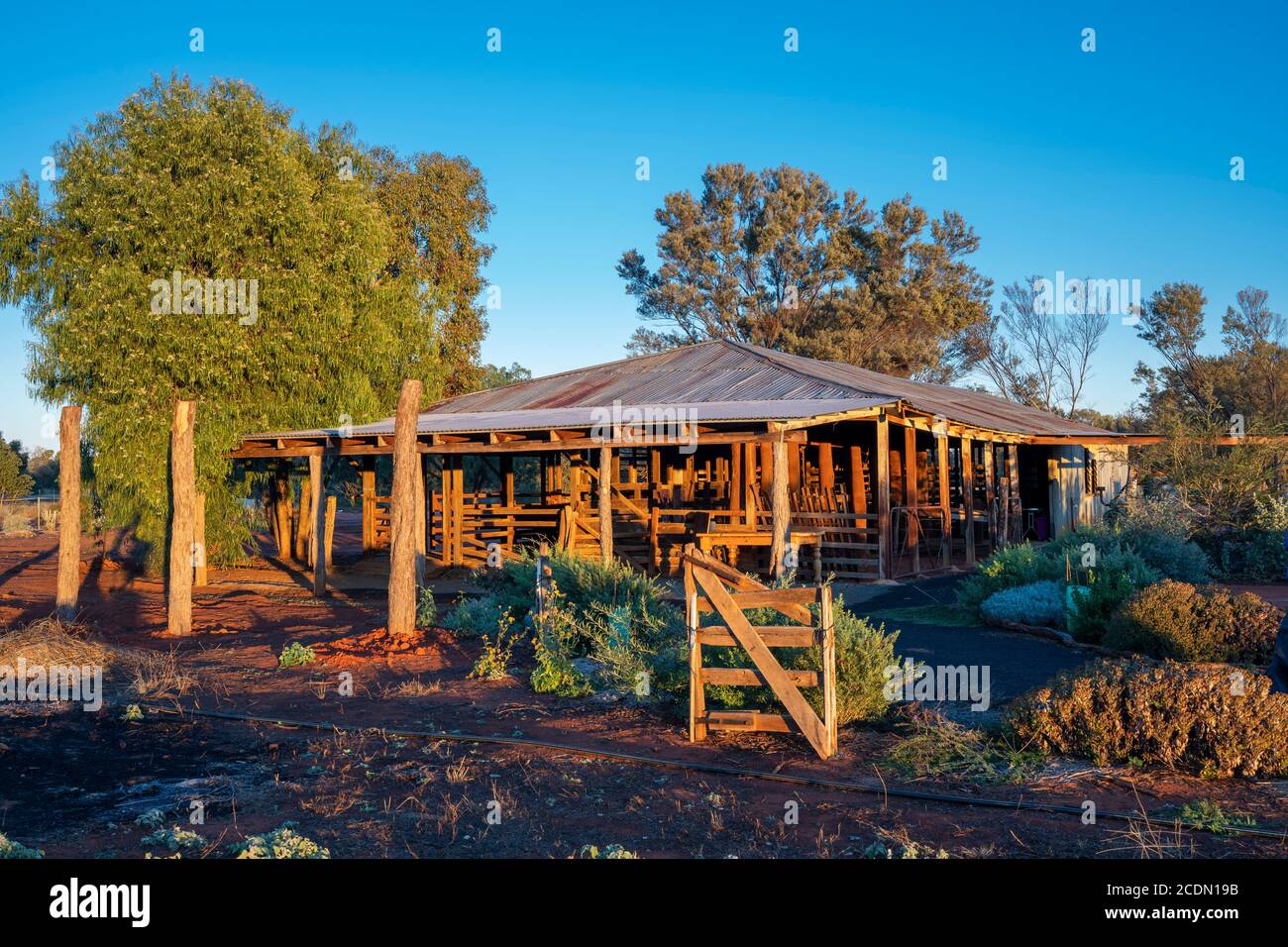 Sheep shearing shed australia hi-res stock photography and images - Alamy