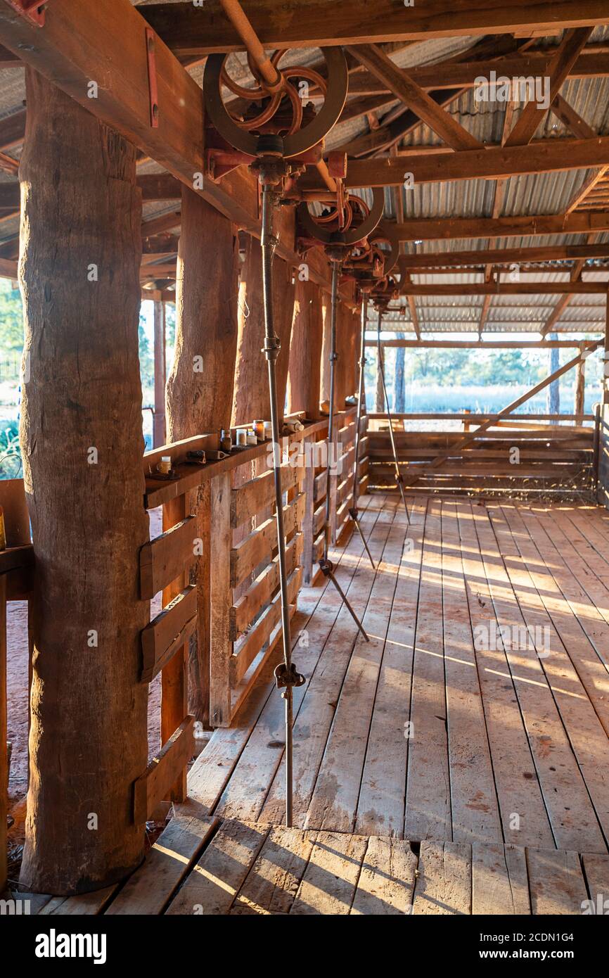 Interior of Shearing Shed at sunrise, Charleville, Queensland ...