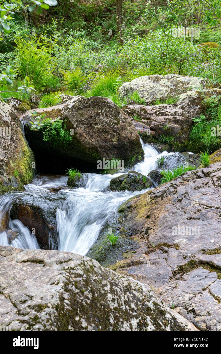 Fresh water river flowing Stock Photo - Alamy