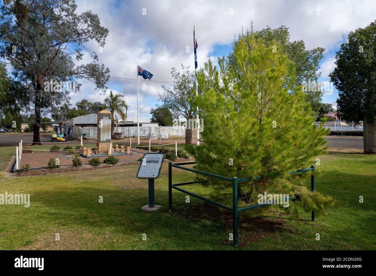 Lone Pine Tree at War Memorial, Morven, Queensland, Australia Stock ...