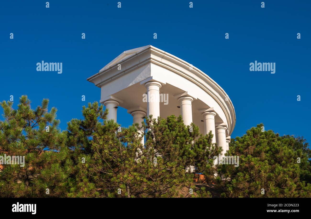 Seaside Morning Glory High Resolution Stock Photography and Images - Alamy
