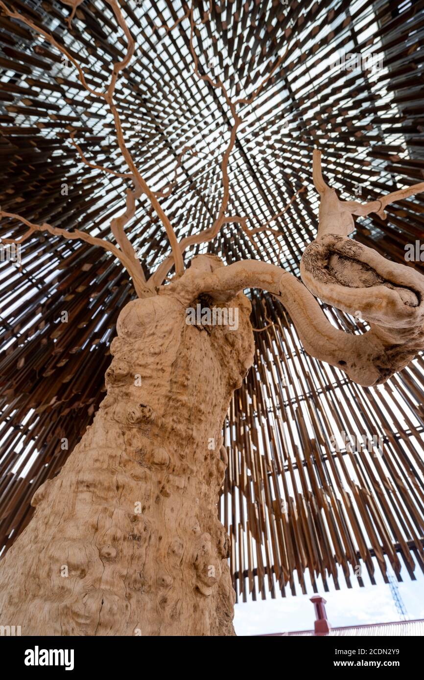 Tree of Knowledge, Barcaldine, Western Queensland, Australia Stock ...