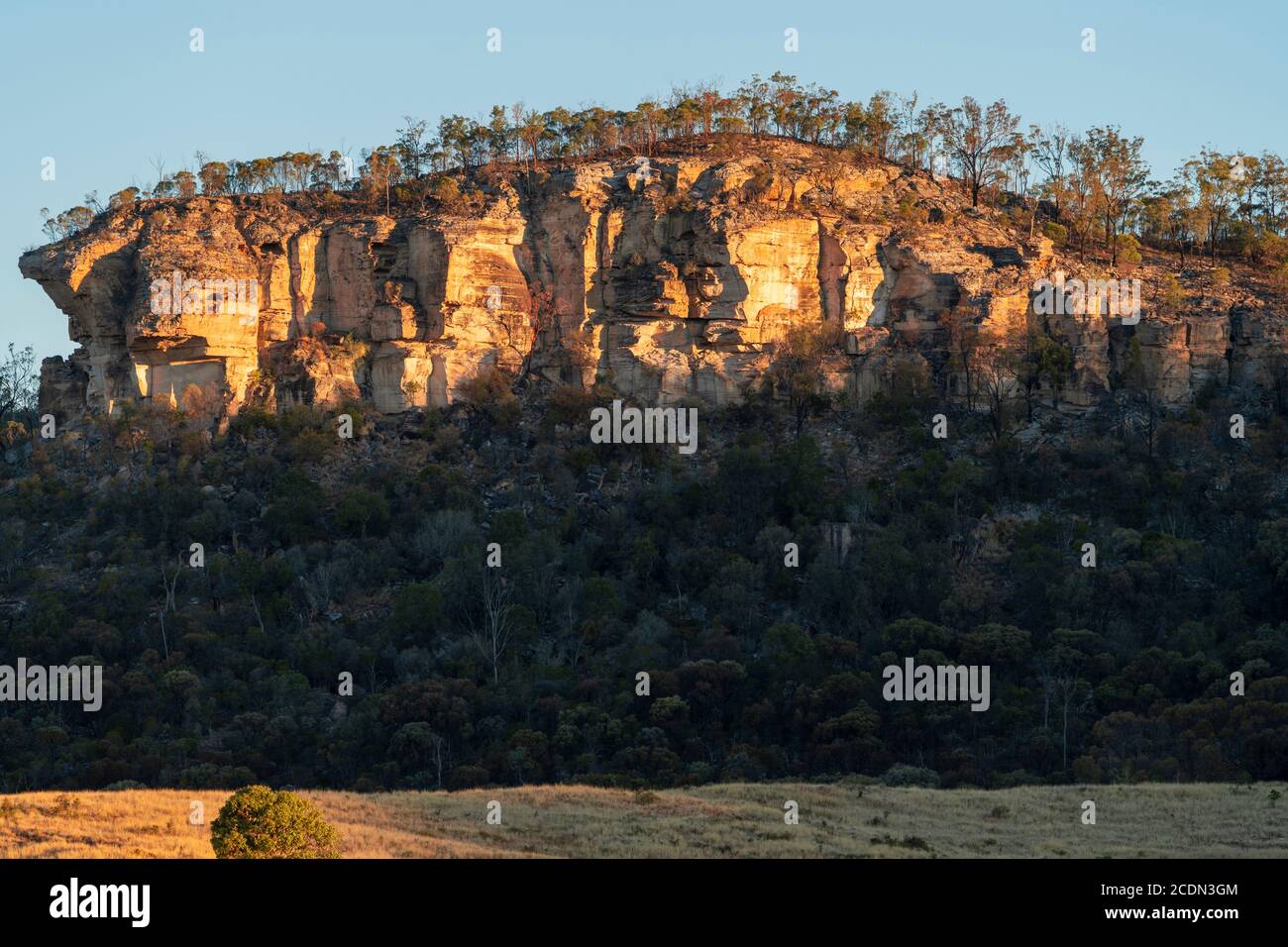 Rocky sandstone outcrop on escarpment, Salvator Rosa Section Carnarvon ...