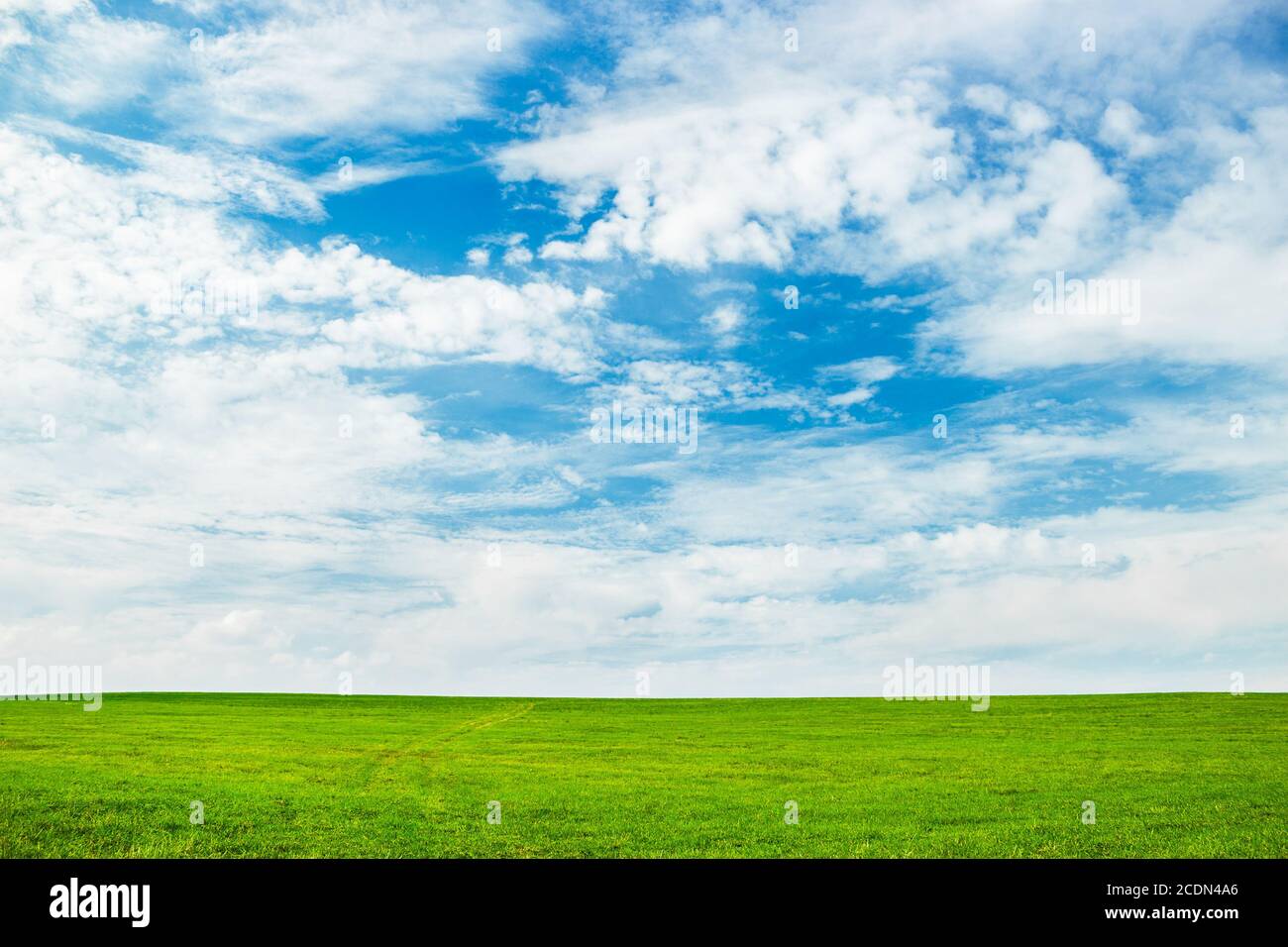 Blue sky with green grass hi-res stock photography and images - Alamy