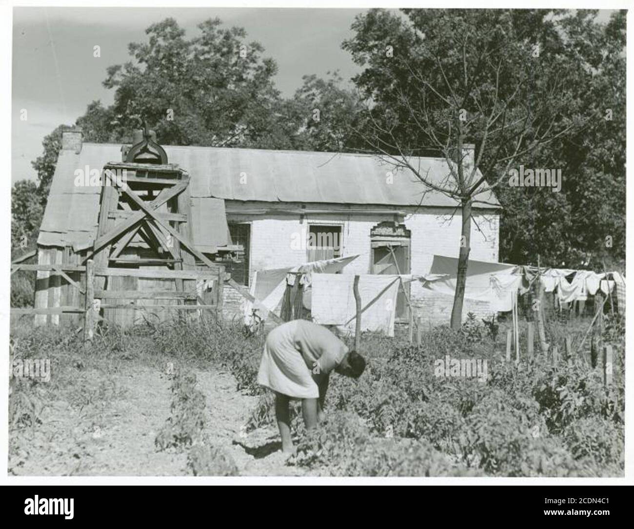Historical plantations hi-res stock photography and images - Alamy