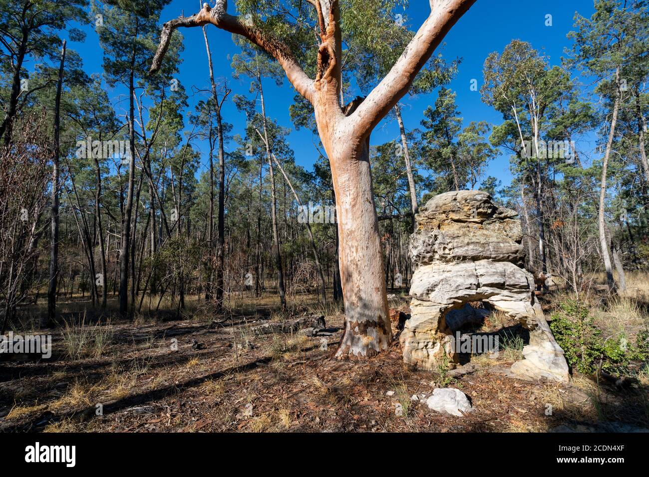 Sandstone rock formation with large hole eroded through, Salvator Rosa ...
