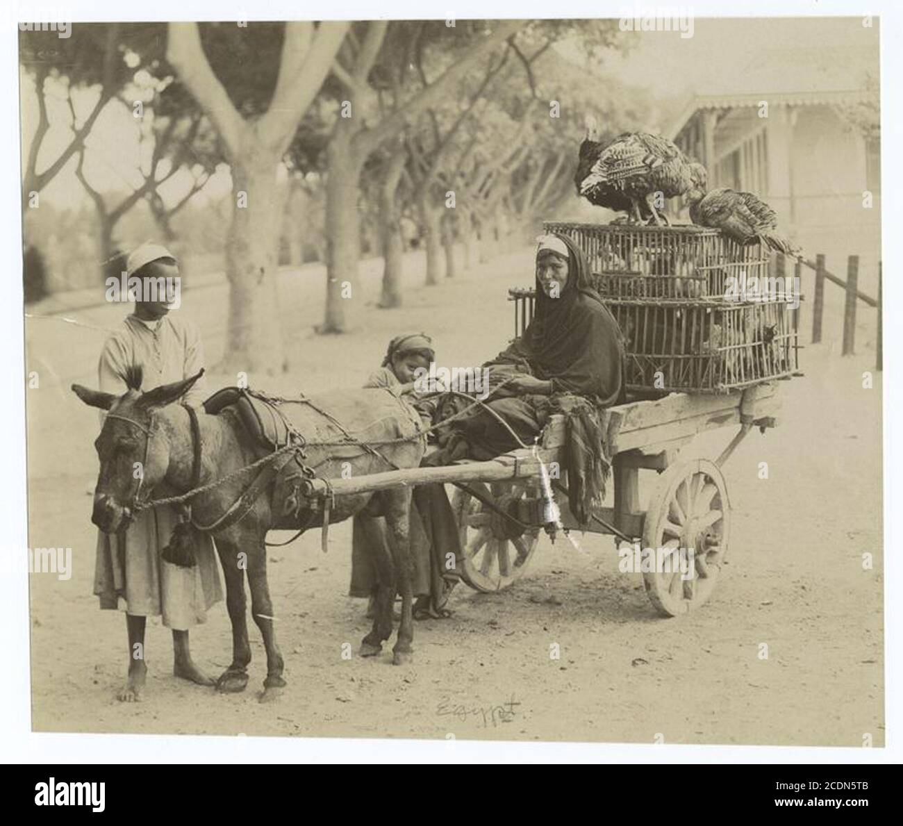 Ancient Egypt Nostalgia High Resolution Stock Photography and Images ...