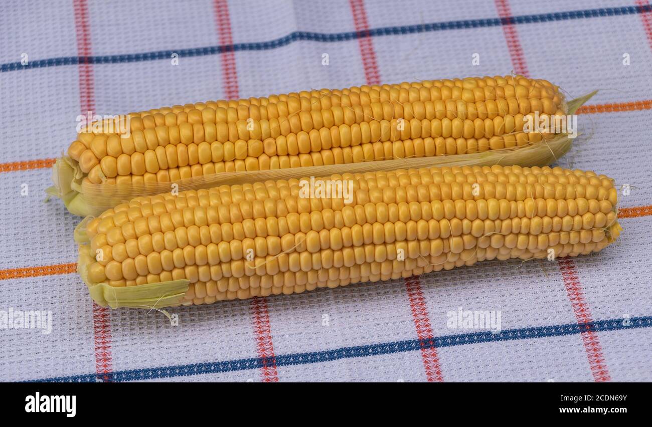 Fresh uncooked corn conception hi-res stock photography and images - Alamy