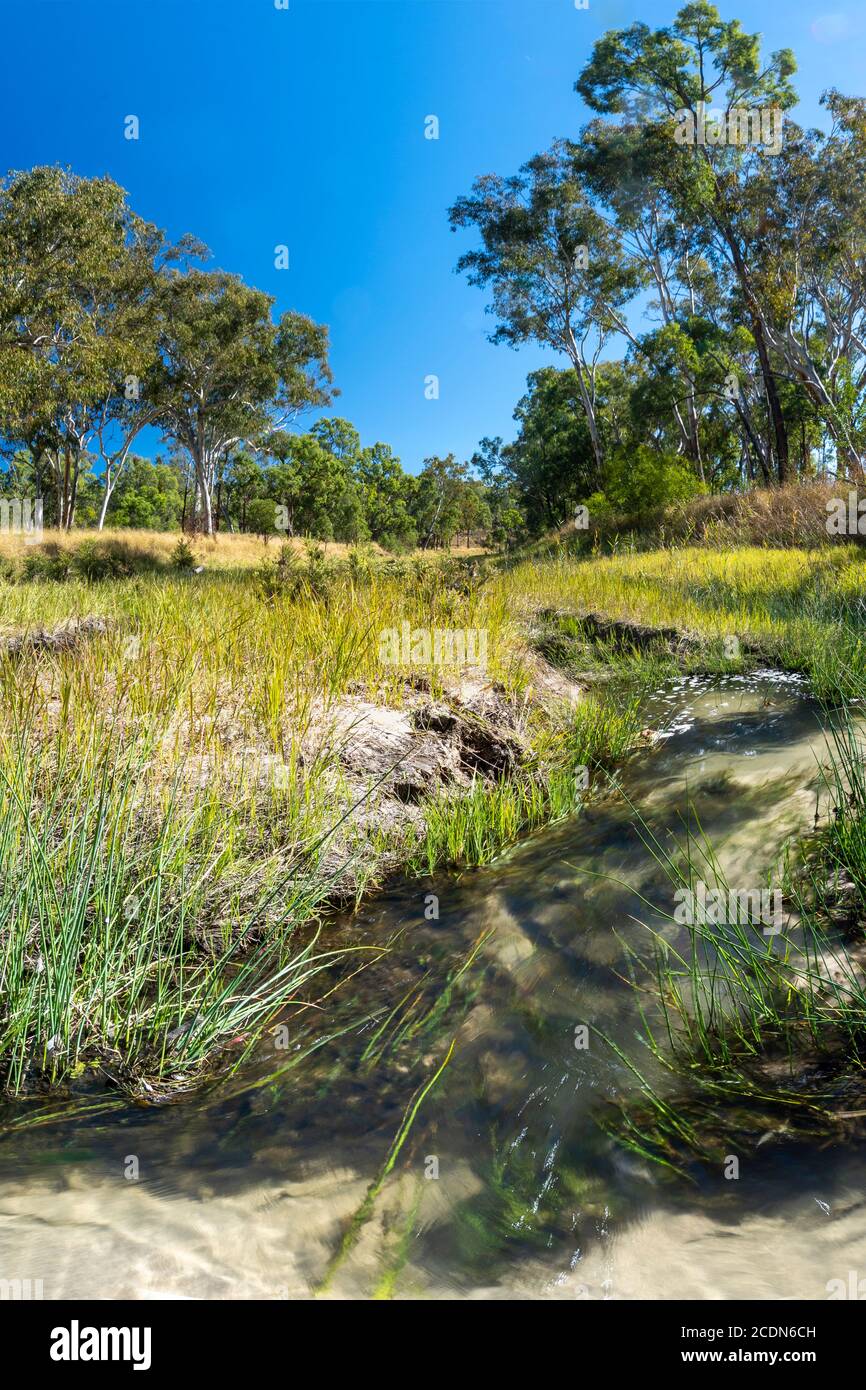Sandy riverbed with clear water of Nogoa River near junction with ...