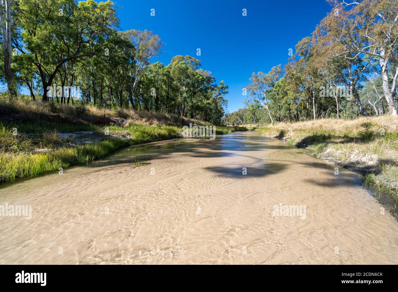 Sandy riverbed with clear water of Nogoa River near junction with ...