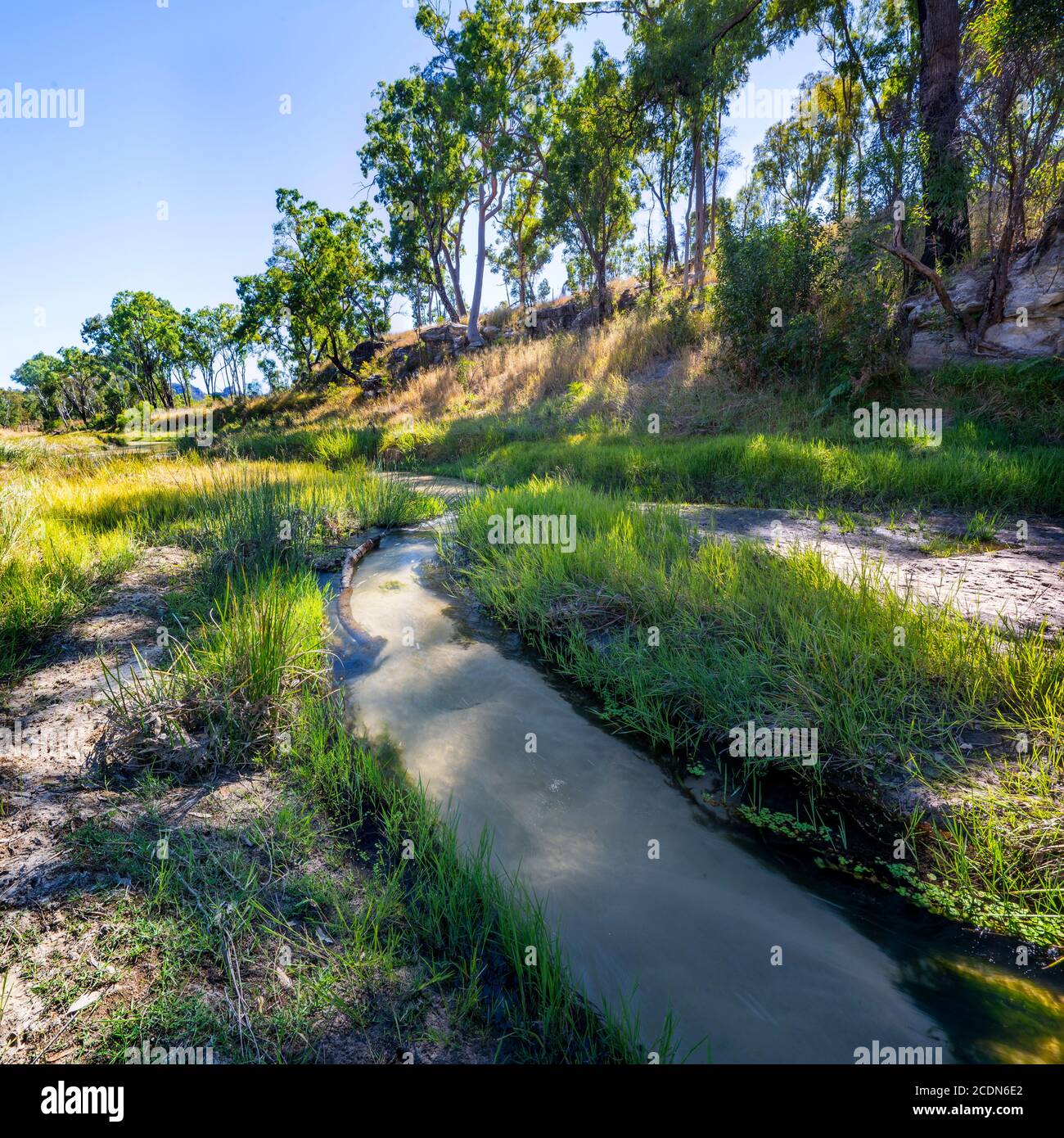 Sandy riverbed with clear water of Nogoa River near junction with ...