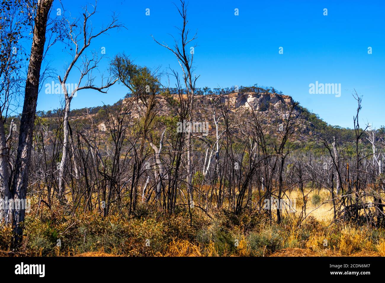 Rocky outcrops at Salvator Rosa Section Carnarvon National Park ...