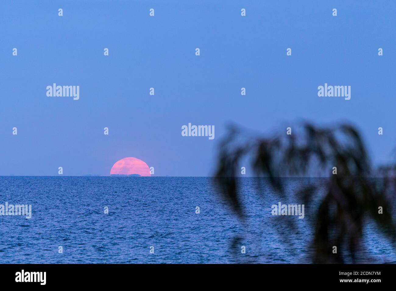 Moon rising over the ocean, Queensland Australia Stock Photo - Alamy